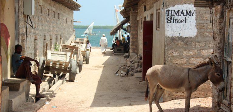 What does "development" actually look like? The case of LAPSSET ...