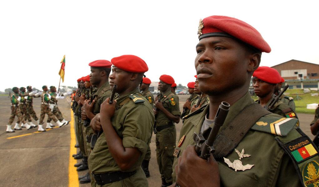 Cameroon grants 'special status' its to restive regions. They don't ...