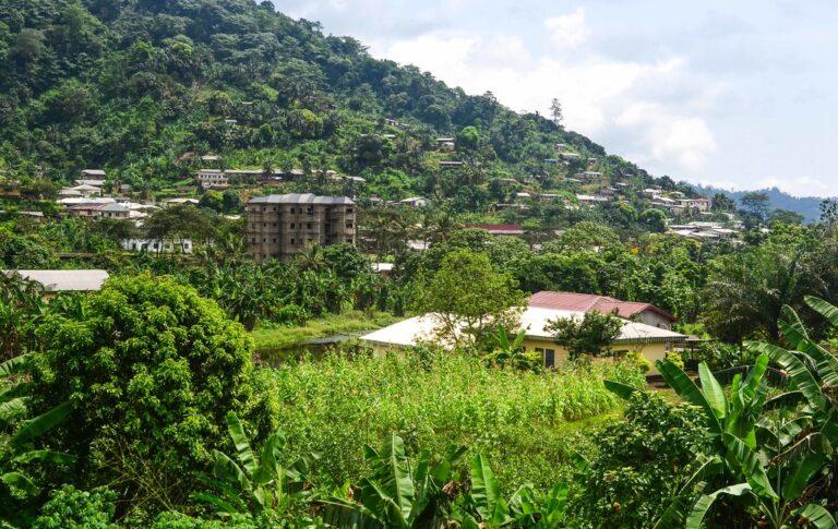 Fighting continues in Anglophone Cameroon despite COVID-19 concerns ...