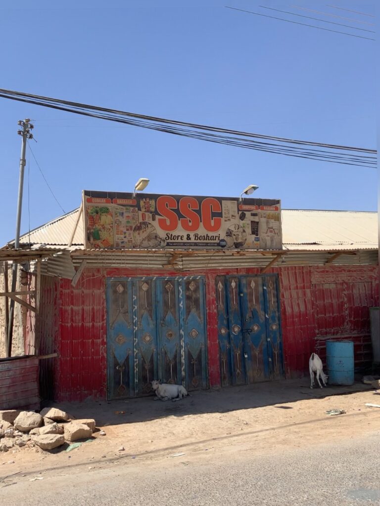 Conflict in Las Anod and Crisis in Somaliland: External Investment ...