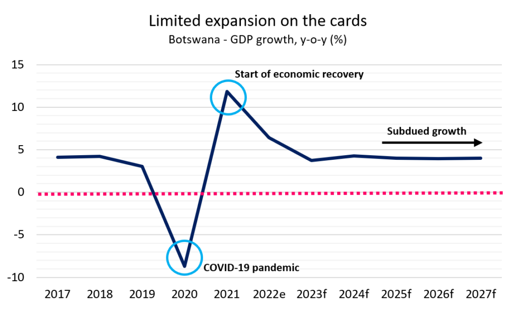 Why is Botswana rethinking its deal with De Beers? | African Arguments