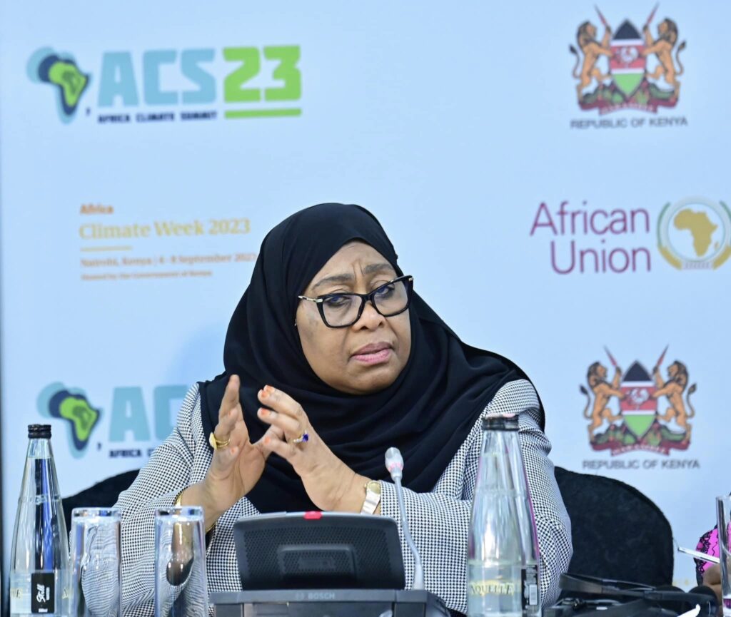 President Samia Suluhu solo at ACS | African Arguments