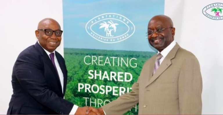 wale-adeosun-and-dr-bokanga | African Arguments