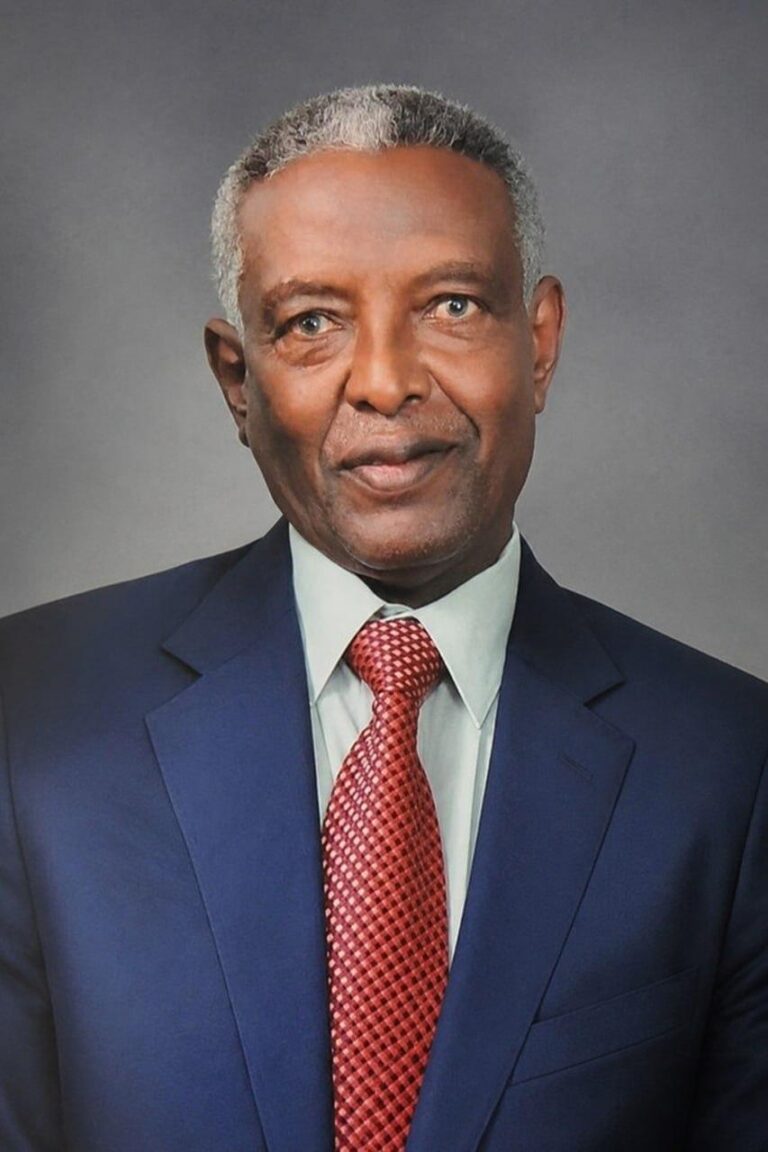 goshu-moges-at-retirement | African Arguments